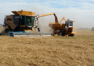 RSD Range Stripper Headers - Wallace Equipment